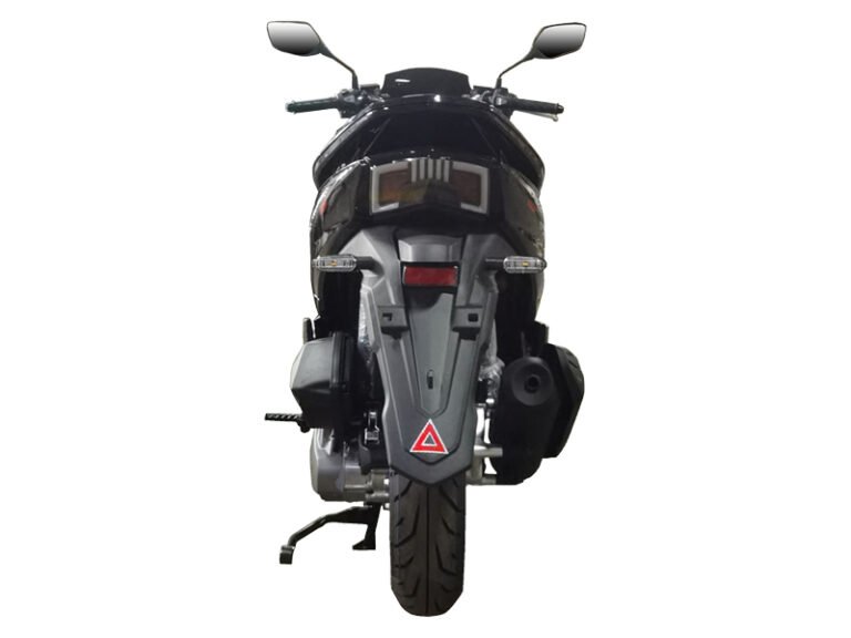 Easyride 150P - MSS CYCLE TRADING